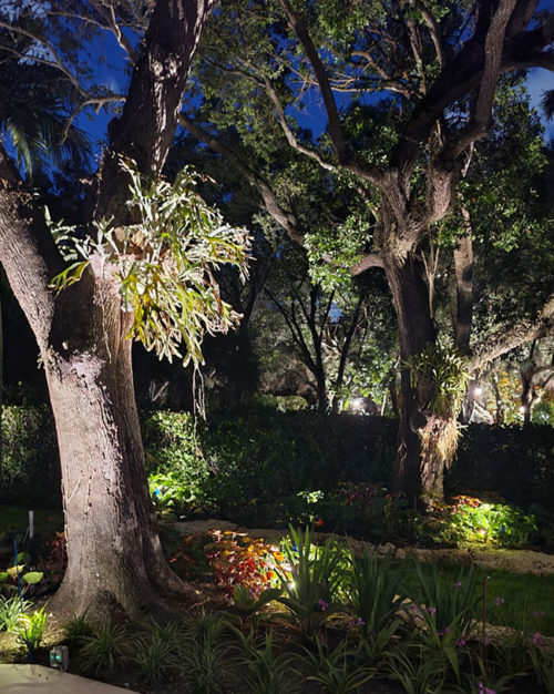 Miami Lighting Design : Transform Your Space Today